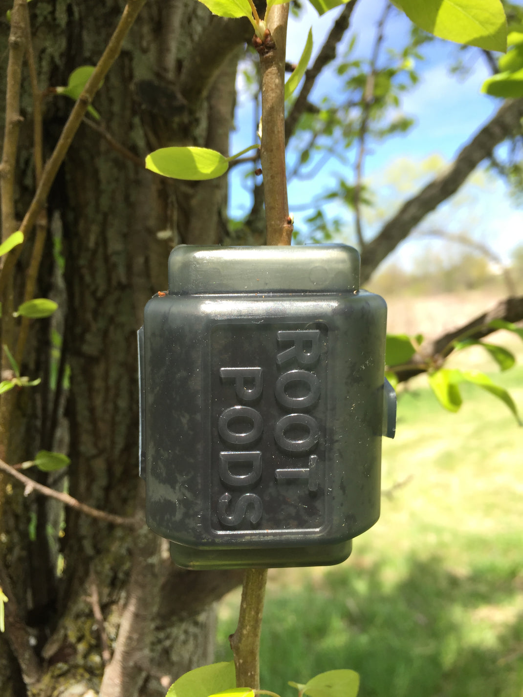 About Root Pods – Americana Manufacturing